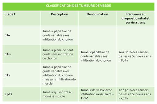 BCG intravésical : remise à disposition d'ONCOTICE en quantité limitée