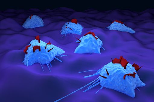 MIACALCIC injectable (calcitonine de saumon) : déremboursement ...