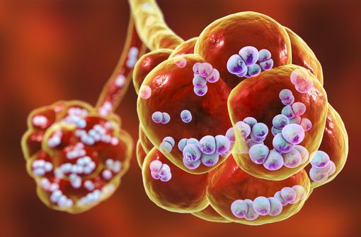 PREVENAR 13 susp inj vaccin pneumococ polyos conj (13-valent, ads) - VIDAL