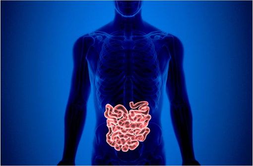 REVESTIVE (téduglutide) : désormais disponible en pharmacie de ville