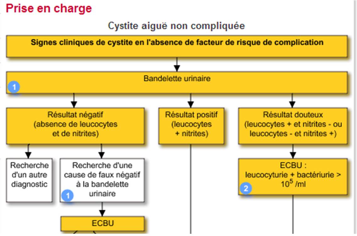 FURADANTINE 50 mg gélule : rappel des modalités de bon usage